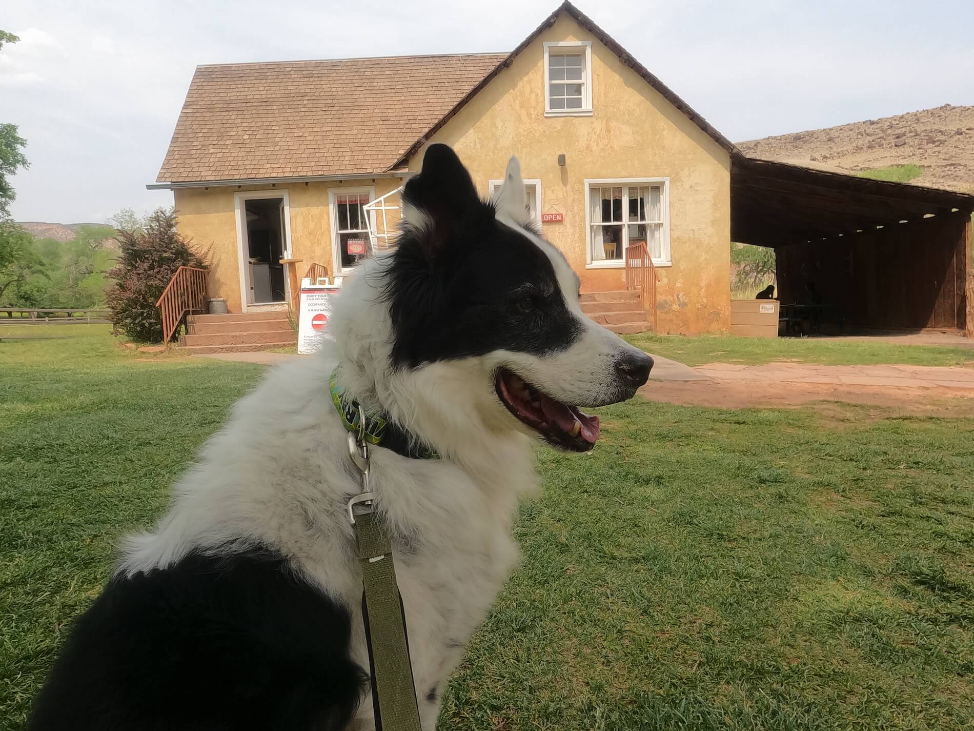 Gifford House – Pie Heaven In Capitol Reef National Park