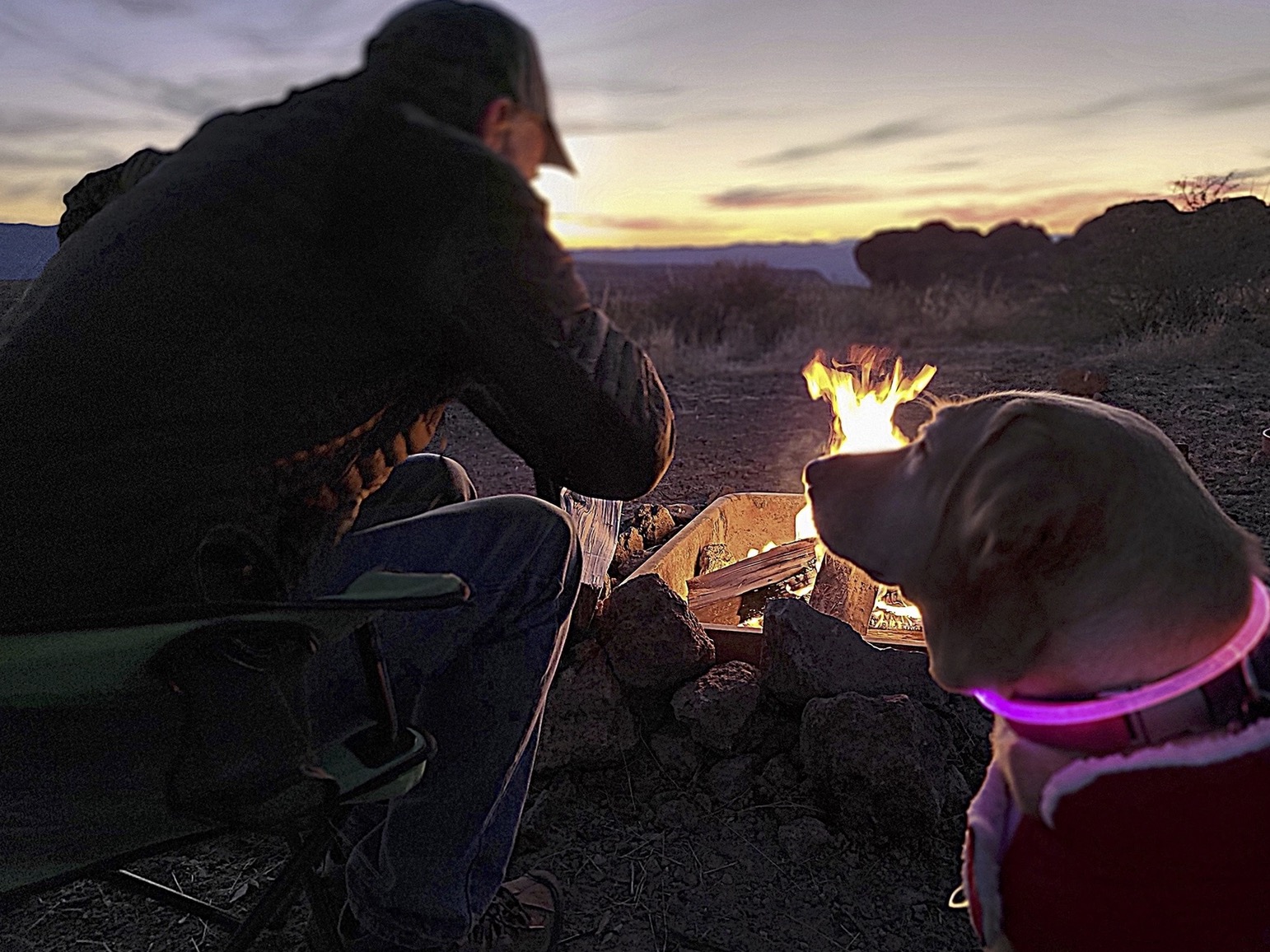 Are Dogs Allowed on Trails in Big Bend Ranch State Park?