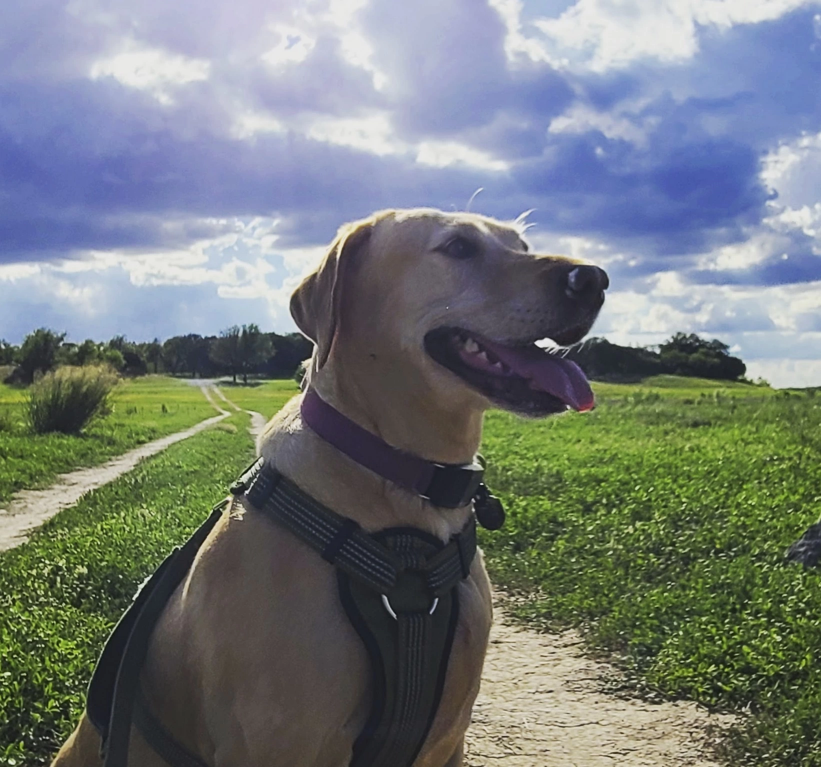 Meet Lizzy Lou, Our New Adventure Girl
